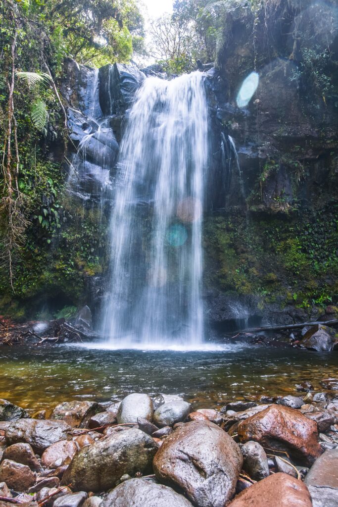 Los Establos Boutique Resort - Elite Island Resorts Certificates